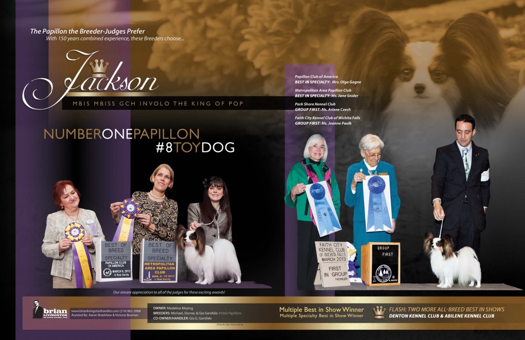 InVolo Papillons - Breeders of Champion Papillons